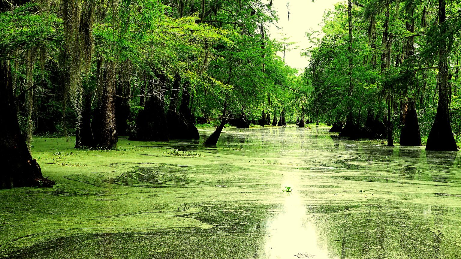 Barataria Bay Is Slowly Slipping Away