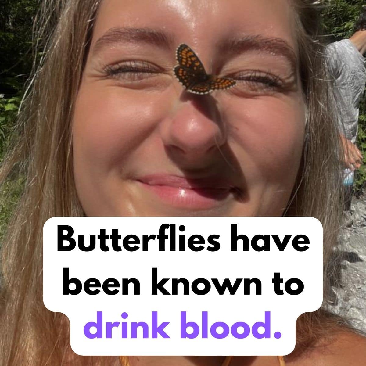 We Wish Someone Would Have Warned About These Unbelievable Facts – Page 4