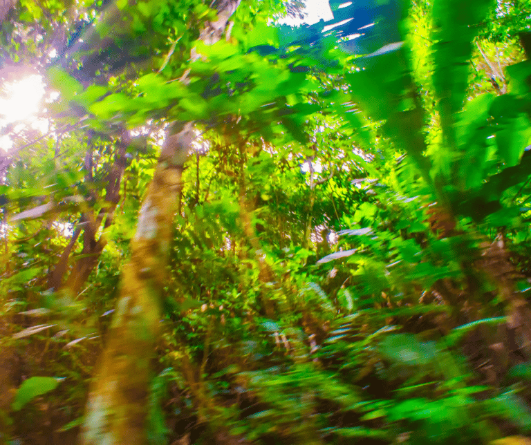 What Does Climate Change Mean