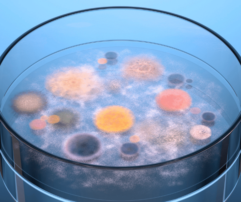 The Fascinating World of Microbes: Exploring the Tiny Organisms that ...