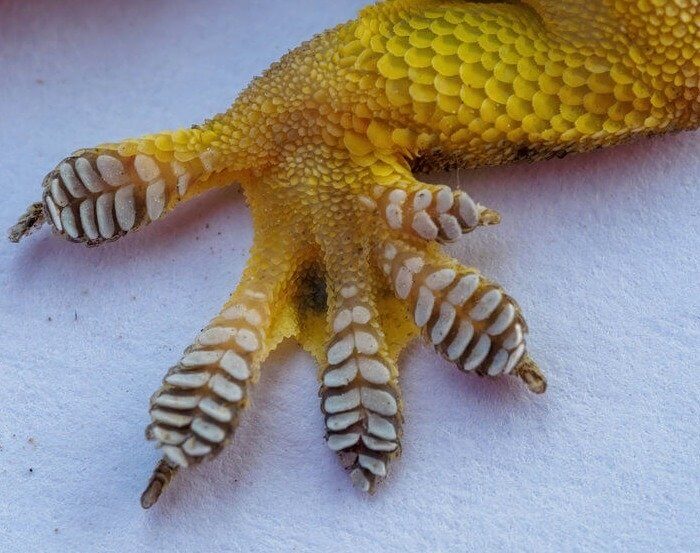 Incredible Close-Up Images That Reveal the Intricacies of the Natural ...