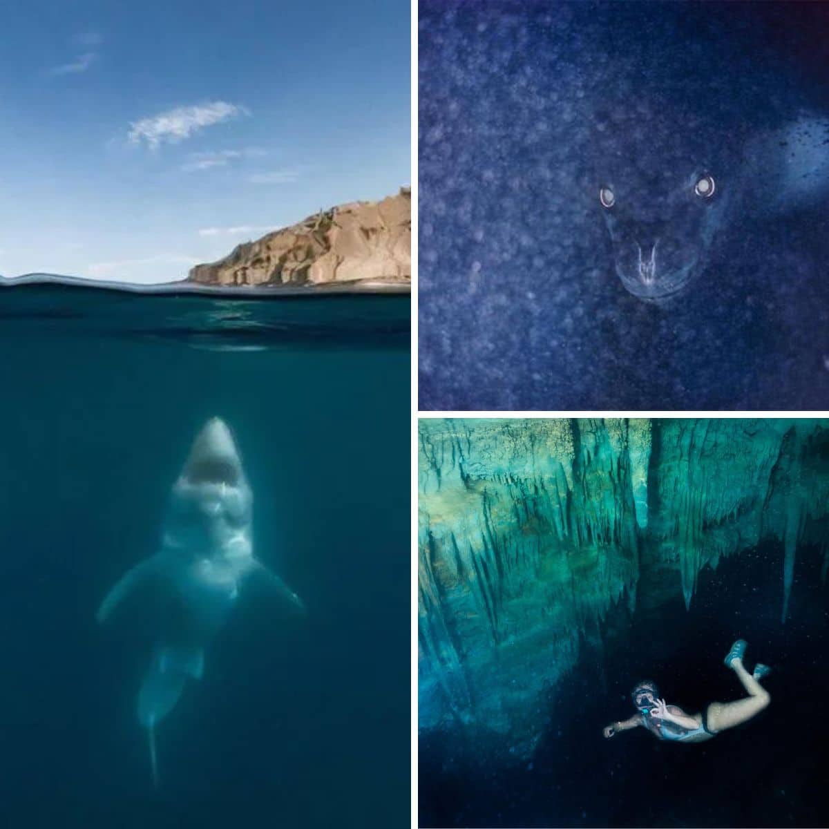 Pictures That Show Why Thalassophobia, or Fear of the Deep Sea, Is a ...