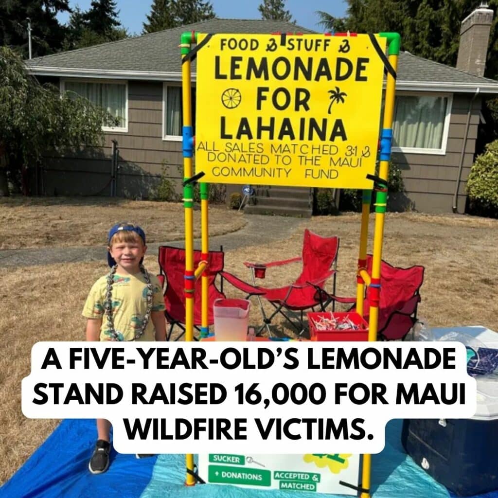 Good Things We Didn’t Know Happened in 2023, But We Really Needed to ...