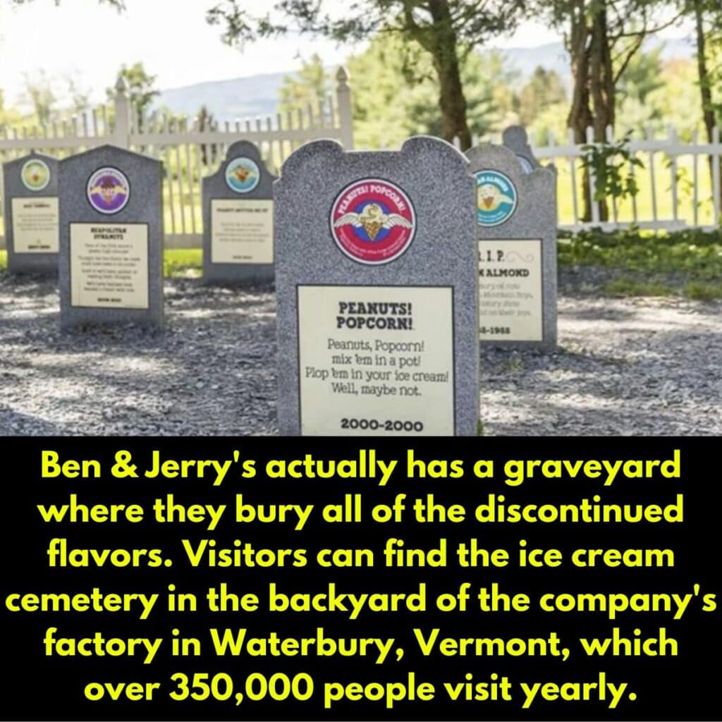 These Real-Life Stories Could Be the Plot of a Hollywood Film – Page 18