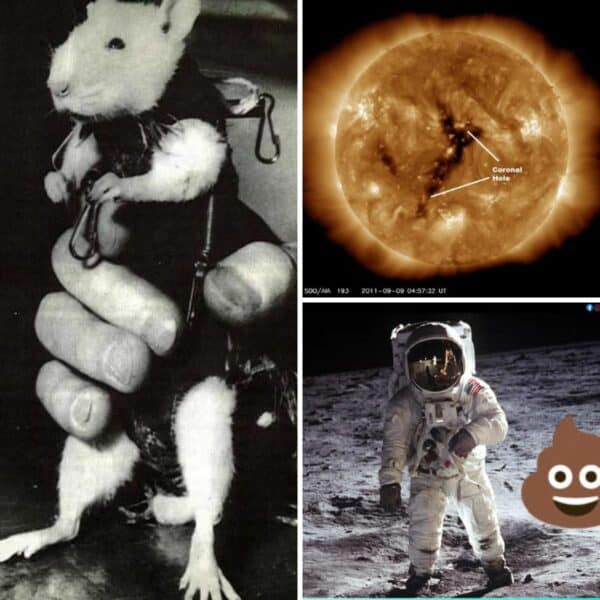 40 Never-Heard-Of Science Facts That Will Amaze You