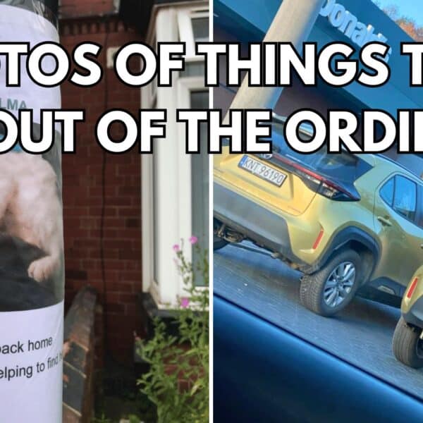 45 Hilarious Beach Photo Fails That Will Make You Rethink Your Seaside ...